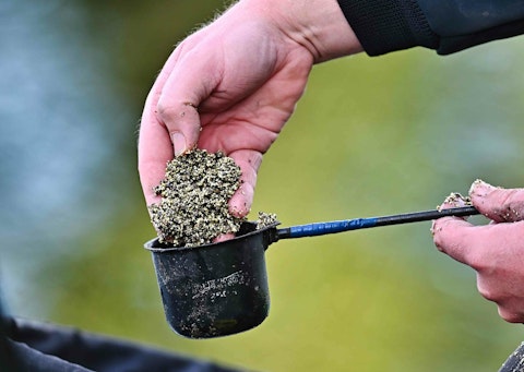 Mastering Roach Fishing with Hemp: Essential Tips and Techniques