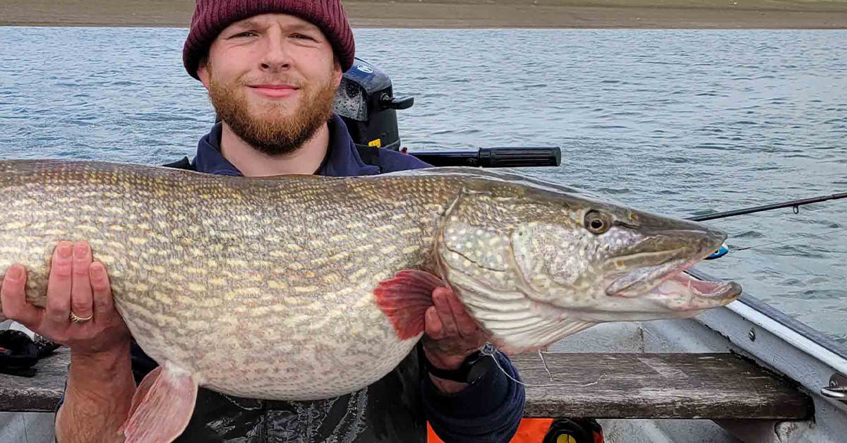 Lure tempts BEAST Welsh PIKE | Angling Times