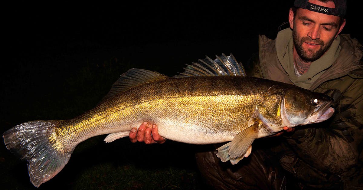 HUGE zander in foul conditions | Angling Times