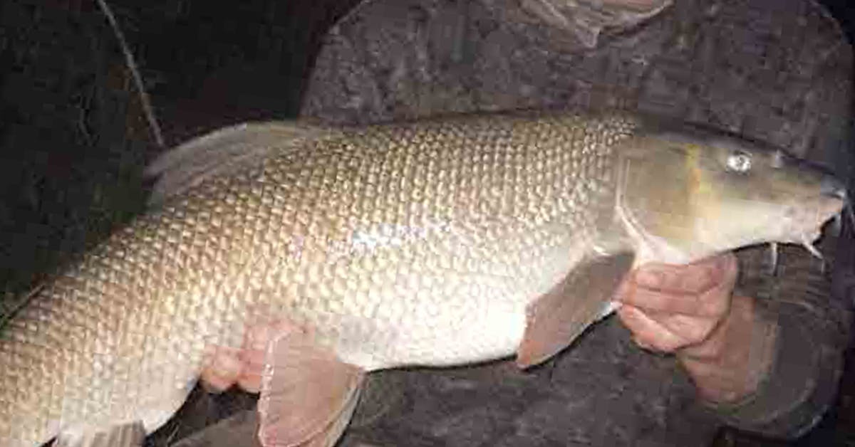 ‘Hit and hold’ tames HUGE Yorkshire BARBEL | Angling Times