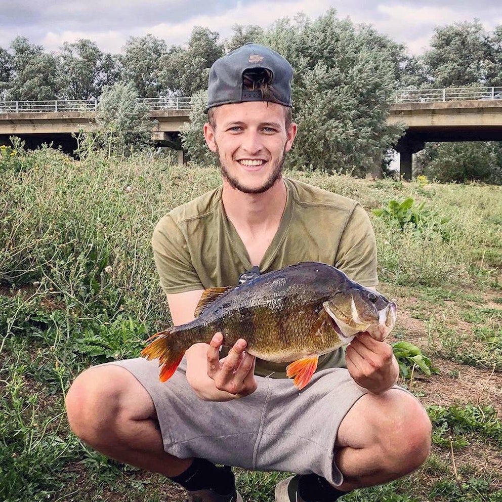 Fishing Near Me: The Best Venues for Monster Perch | Angling Times