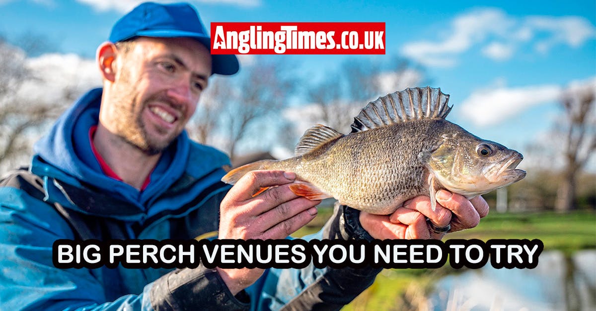 Fishing Near Me: The Best Venues for Monster Perch | Angling Times
