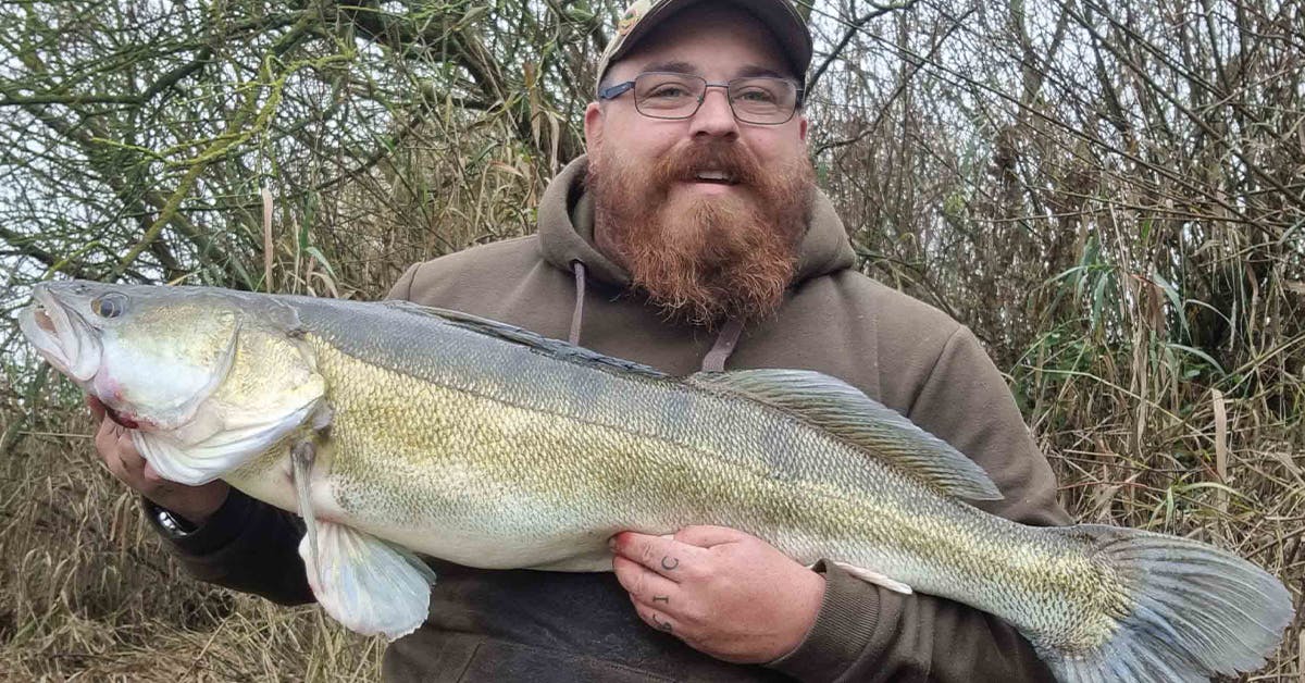 HOMEWORK PAYS OFF FOR BIG ZANDER | Angling Times