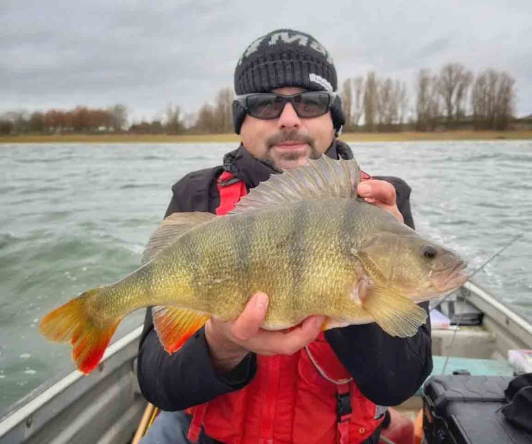 Grafham continues its great specimen perch form | Angling Times