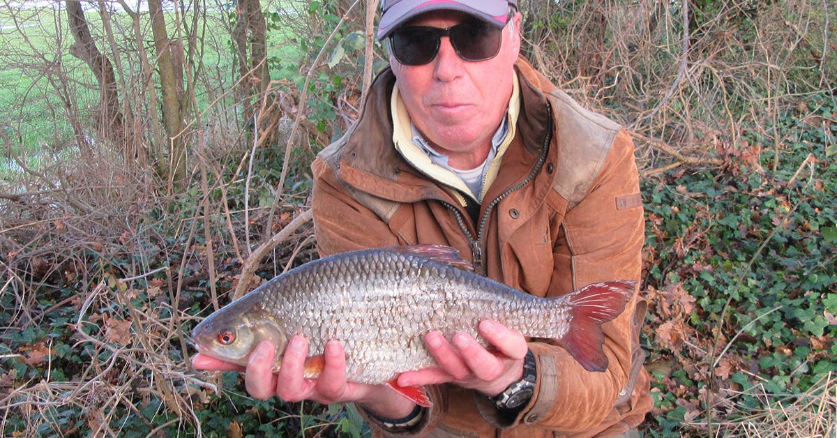 Bait dropper tactics score Hants Avon redfin | Angling Times