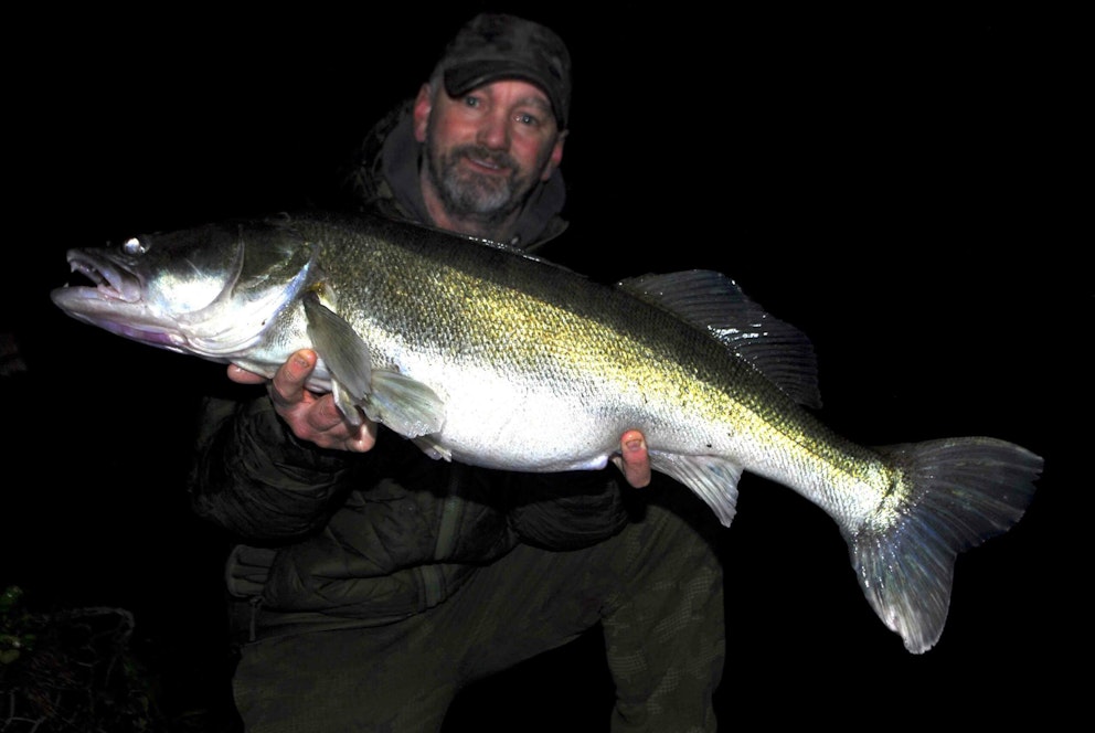 First zander session produces a cracker! | Angling Times