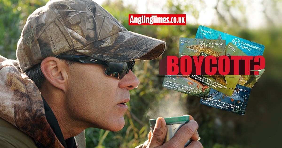 Matt Hayes raises question of rod licence BOYCOTT over poor value and ...