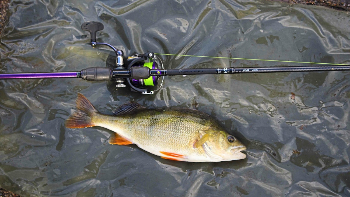 10 Great canal stretches for lure fishing | Angling Times