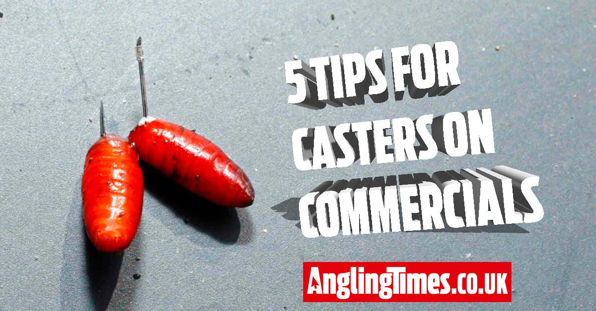 How to fish with casters on commercials | Angling Times