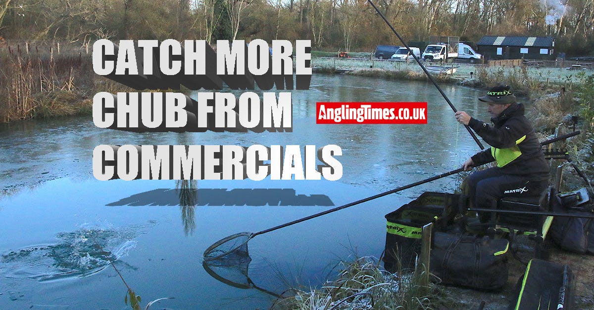 6 tips for catching chub from commercials | Angling Times