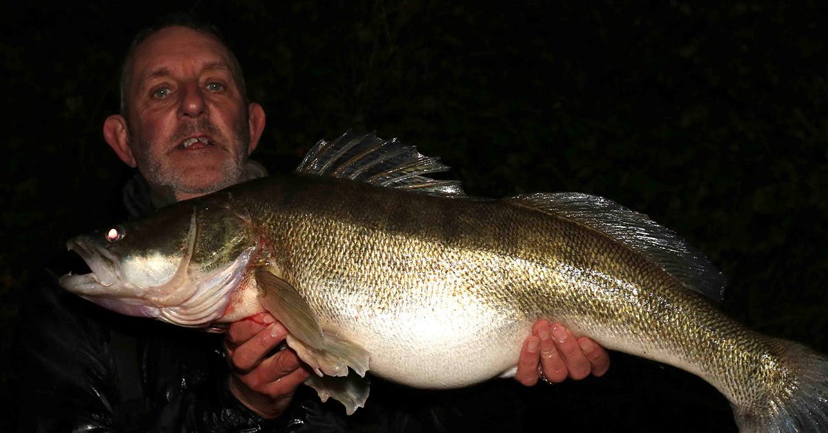 ‘BANDERING’ produces PB zed | Angling Times