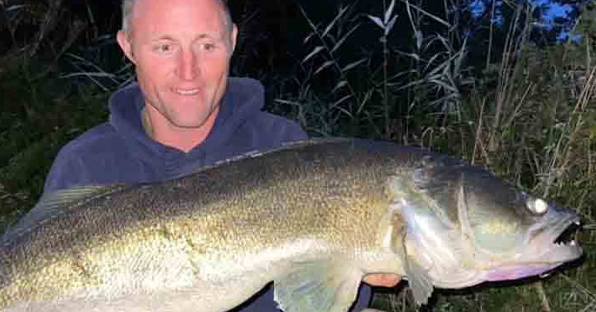 DEEP SWIM PRODUCES SPECIMEN ZANDER | Angling Times