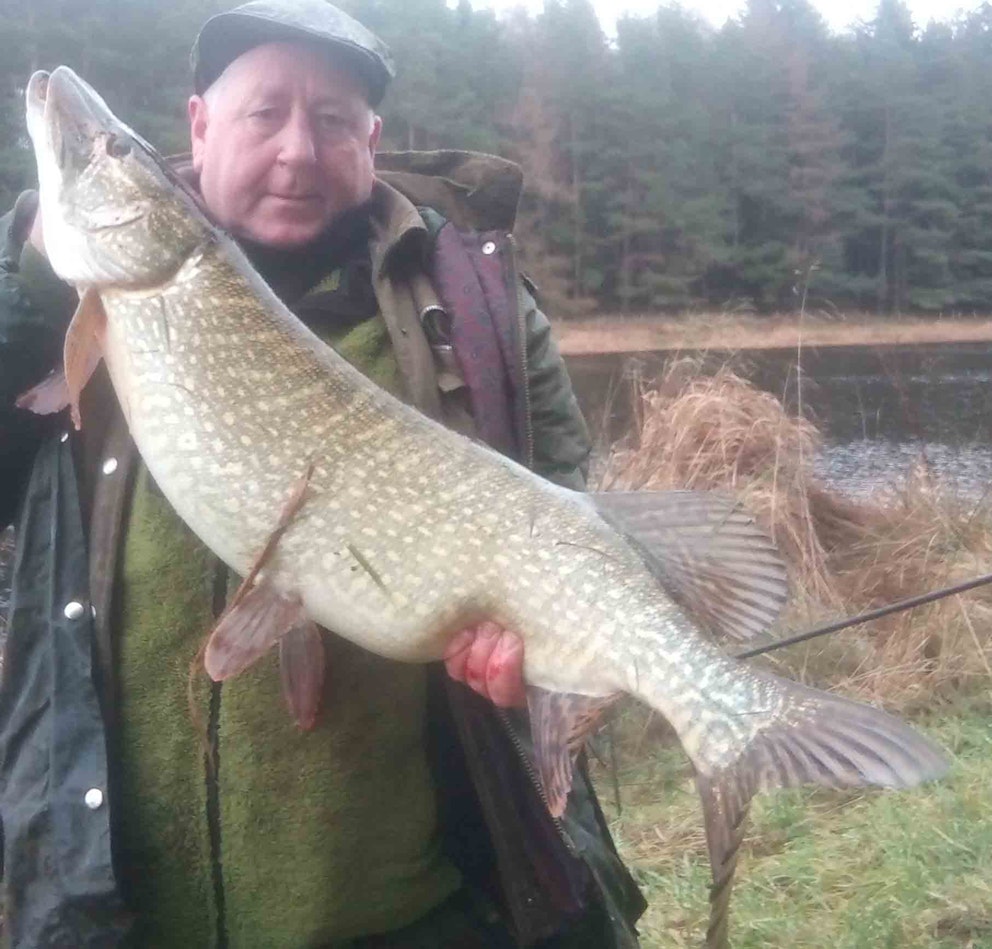 Big Scottish pike ‘looked like it had swallowed a whale!’ | Angling Times