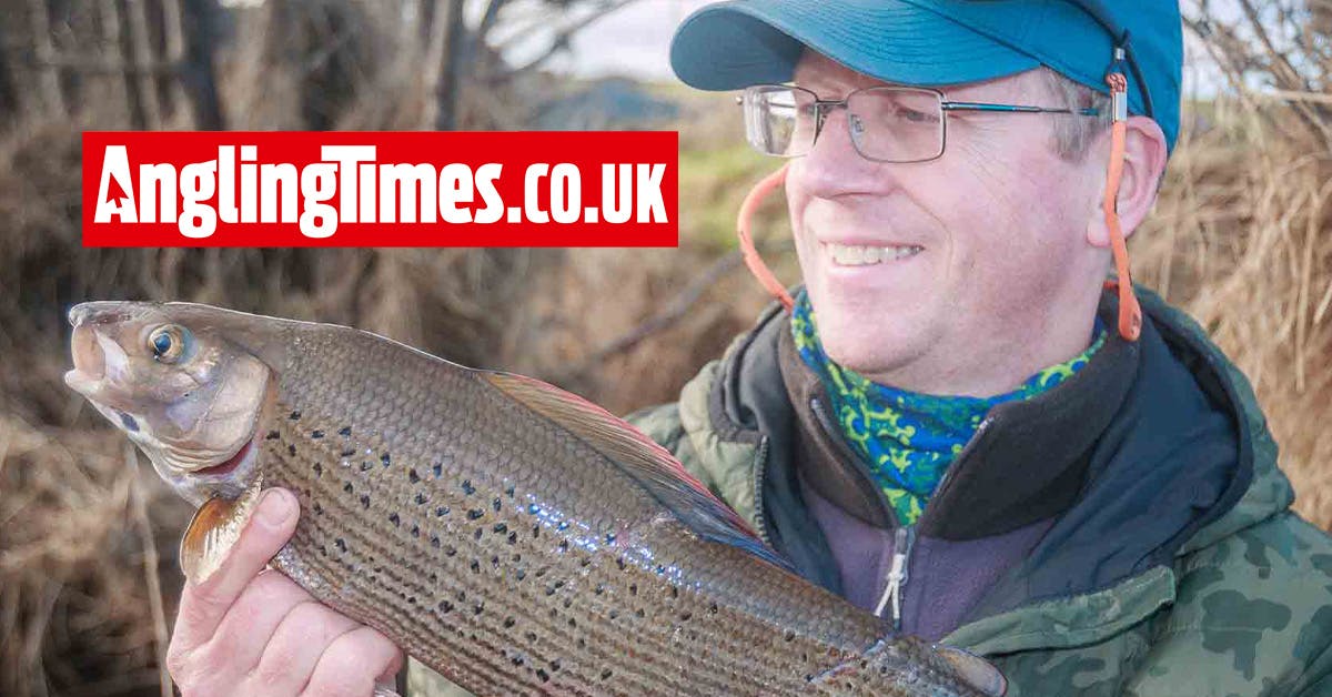 Light feeding results in BIG Scottish grayling | Angling Times
