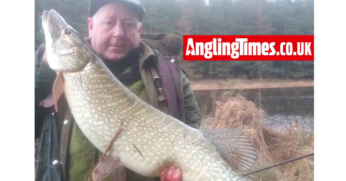 Big Scottish pike ‘looked like it had swallowed a whale!’ | Angling Times