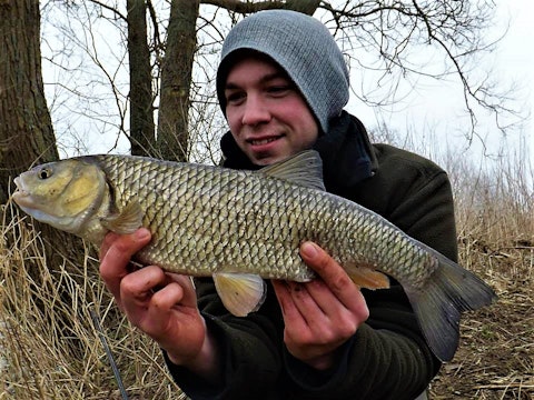13 Great rivers for chub on the float | Angling Times