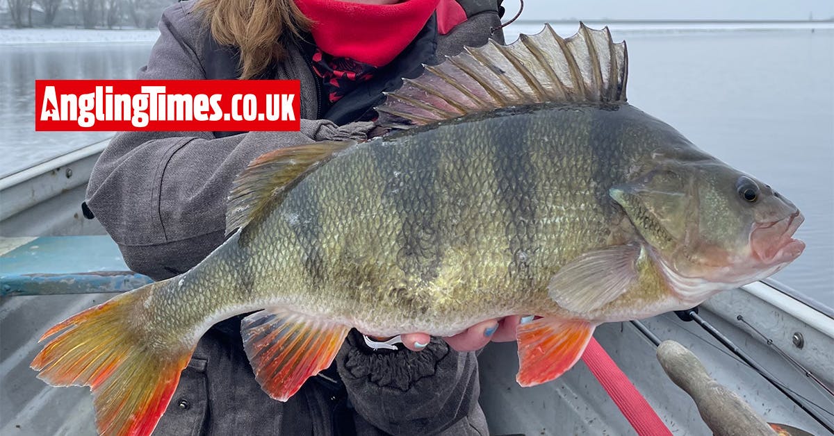 Huge PB perch tops seven-fish reservoir catch | Angling Times