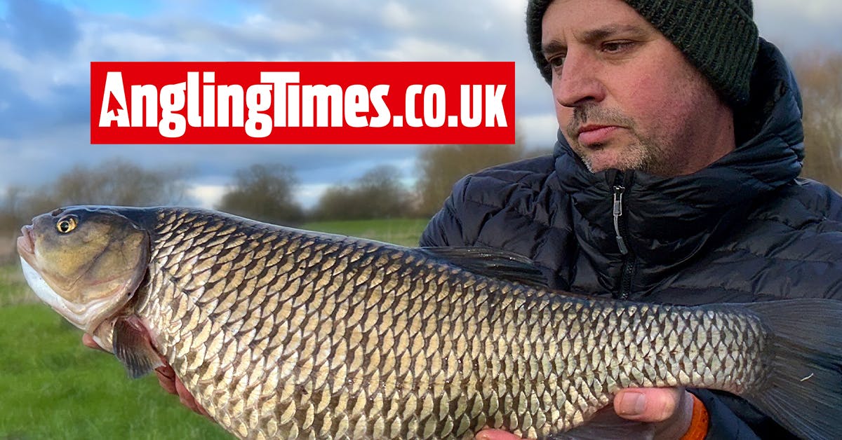 Monster 8lb-plus chub takes just a single maggot on size 20 hook ...