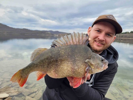 Brace of giant Spanish perch fall to UK angler | Angling Times