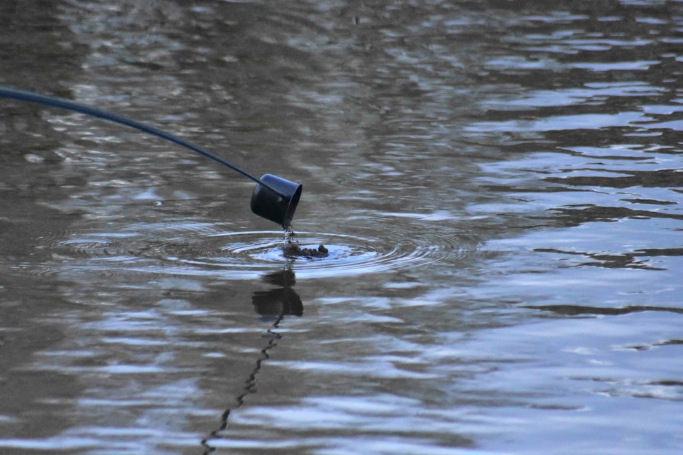 A groundbait-only approach for skimmers and bream in cold water – Rob ...