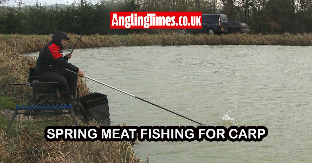 Spring fishing for commercial carp on meat