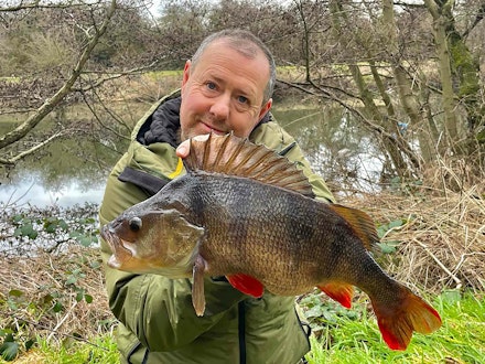 One of the biggest river perch ever landed in the UK | Angling Times