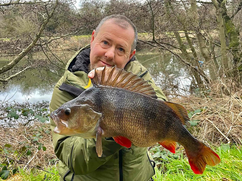 One of the biggest river perch ever landed in the UK | Angling Times