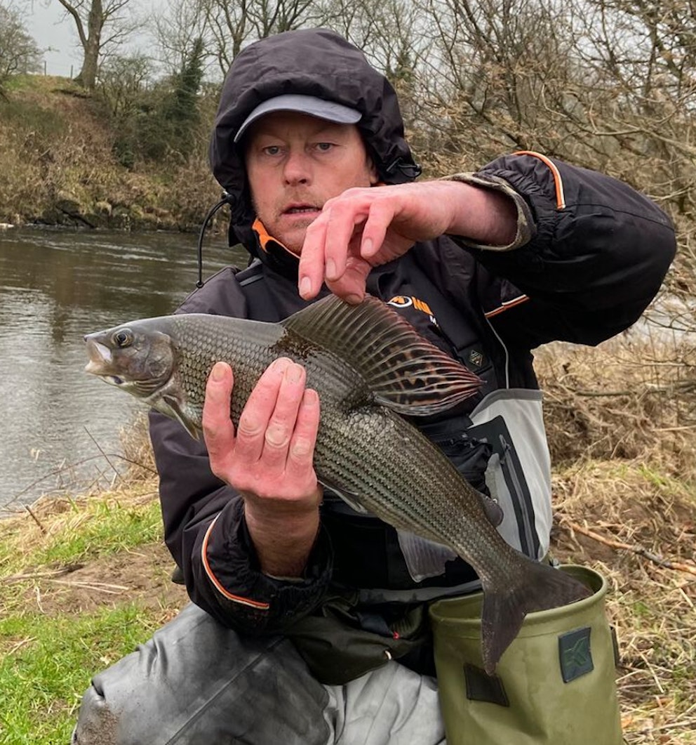 Feeder fishing tactics fool big Scottish grayling | Angling Times