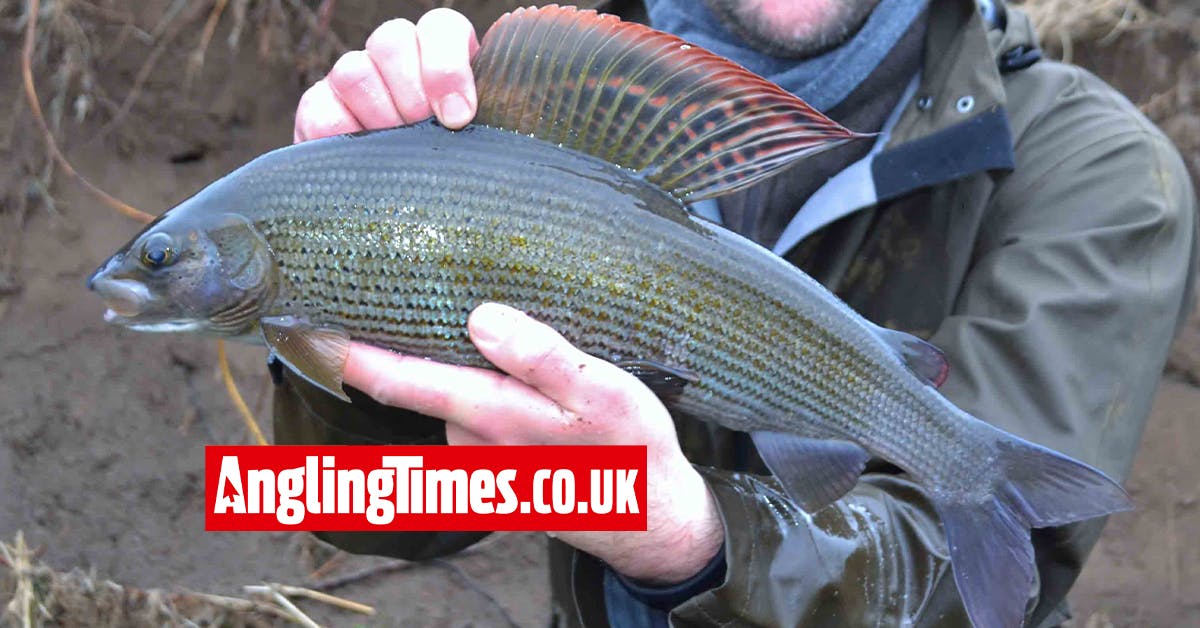 Trip North pays off with massive grayling | Angling Times