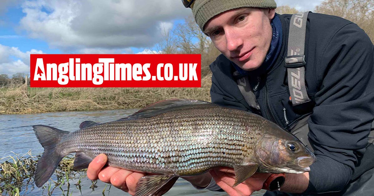 Stunning Frome grayling on the fly | Angling Times