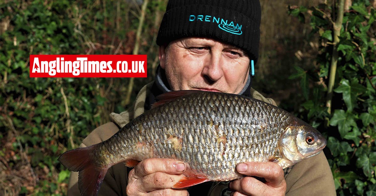 Season’s highlight is big Hampshire Avon roach right at the death ...