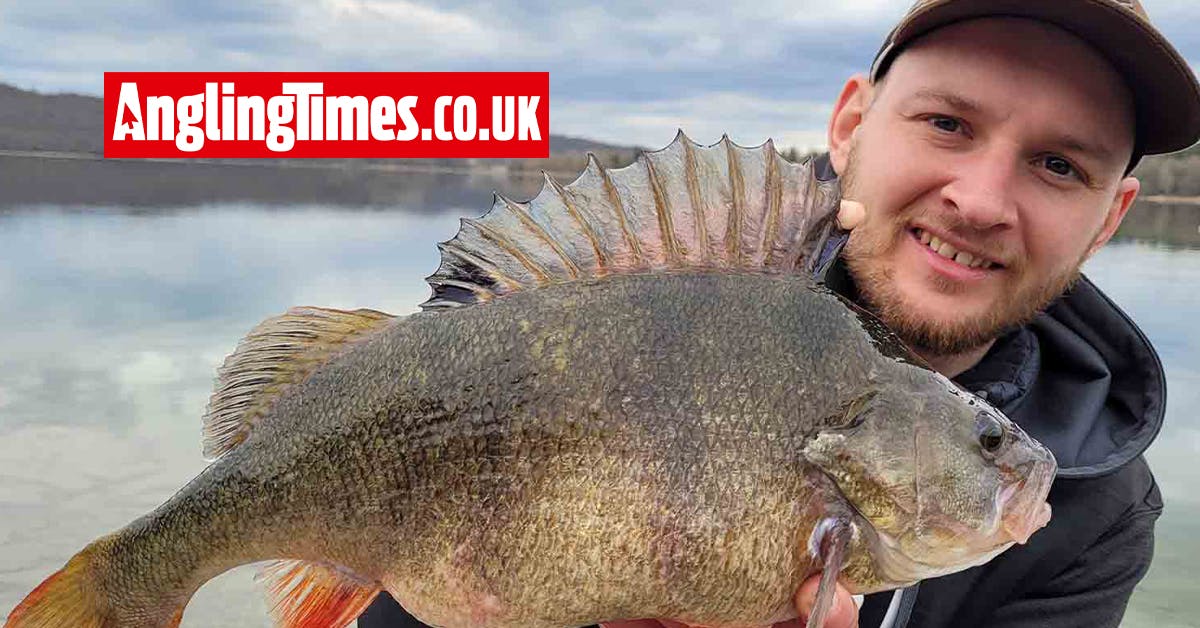 Brace of giant Spanish perch fall to UK angler | Angling Times