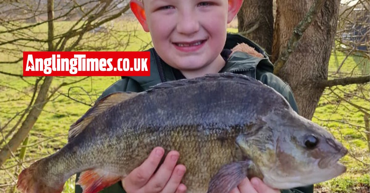 Schoolboy lands perch of a lifetime | Angling Times