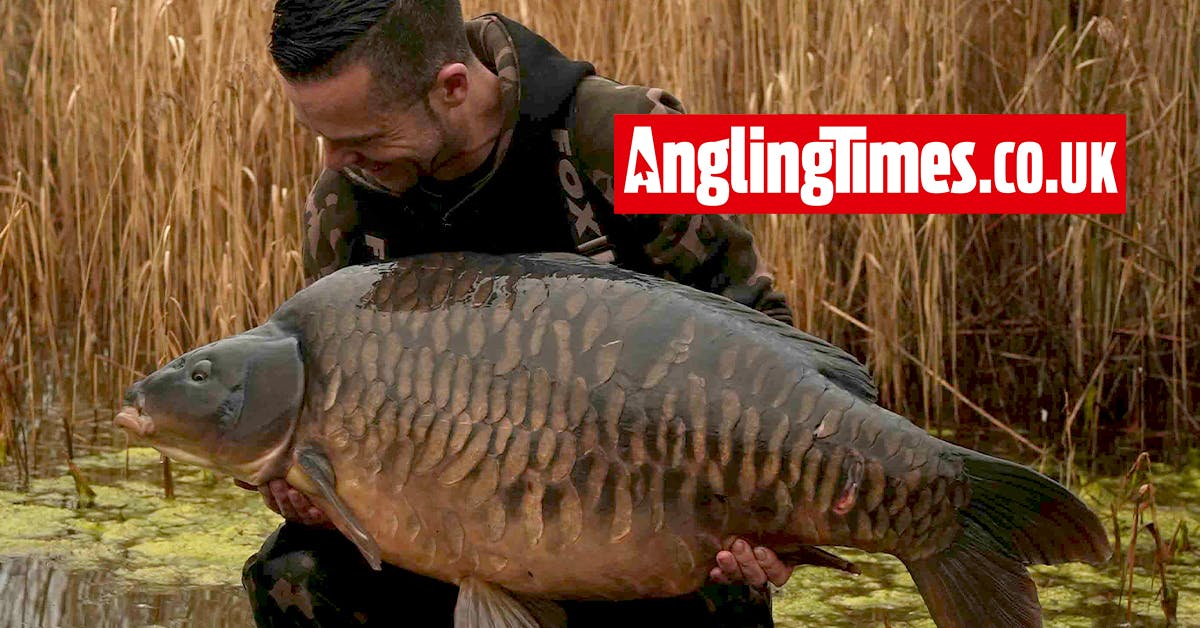Mozza’s MONSTER CARP is just 13 years old! – Could it be the next ...