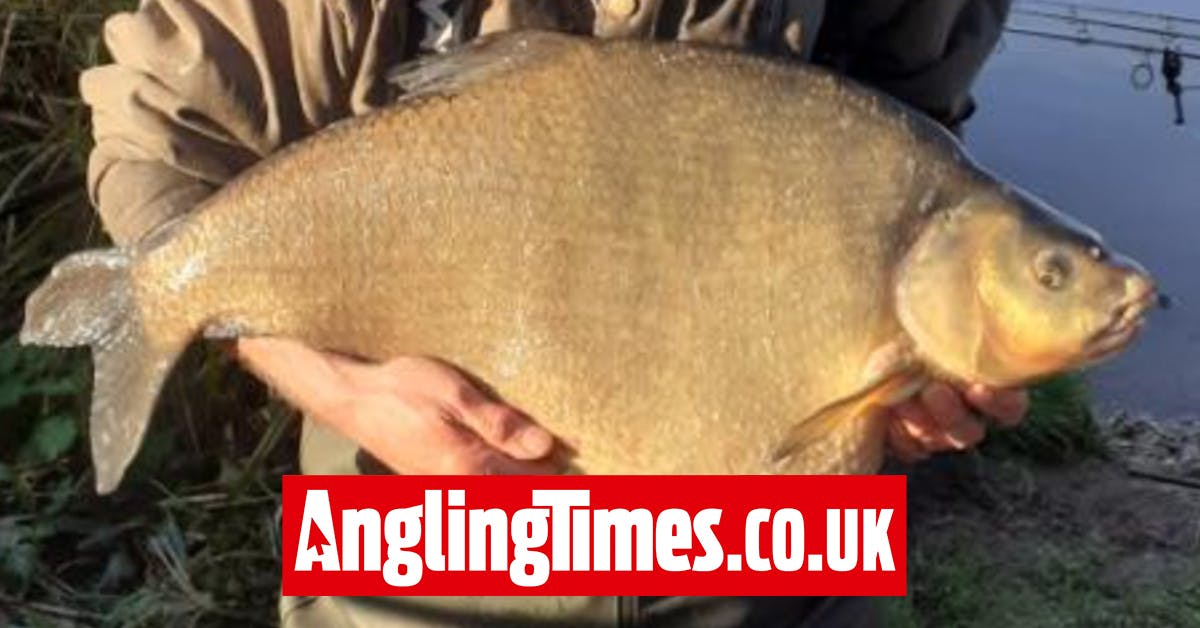 136 nights of fishing rewarded with monster 20lb-plus bream | Angling Times