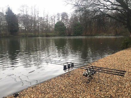 The 50 best UK carp fishing holiday lakes | Angling Times