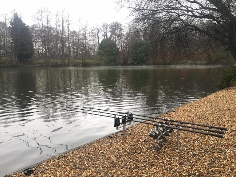 The 50 best UK carp fishing holiday lakes | Angling Times