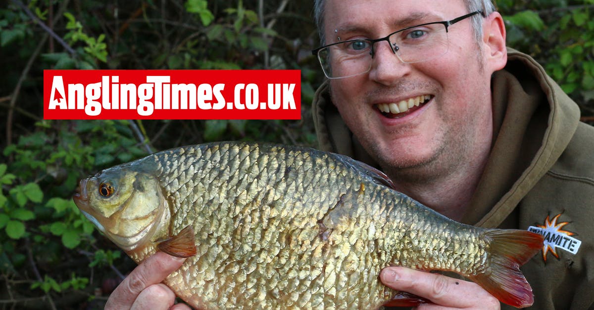 Mega rudd haul on yellow pop-ups | Angling Times