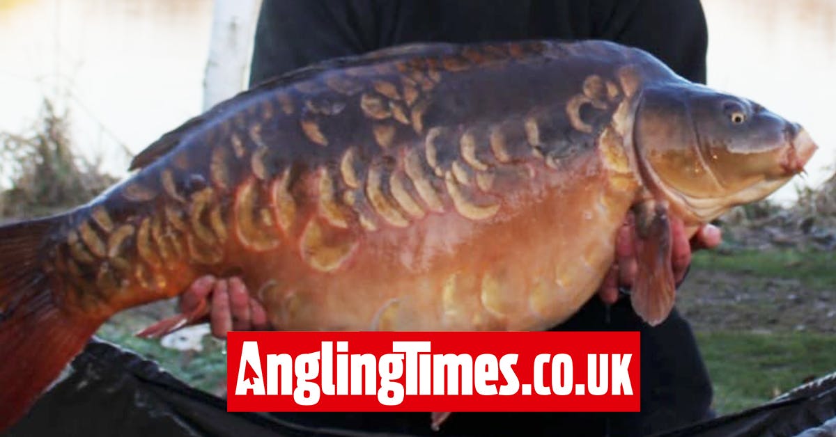 45lb mirror carp completes the puzzle on Monument 2 | Angling Times