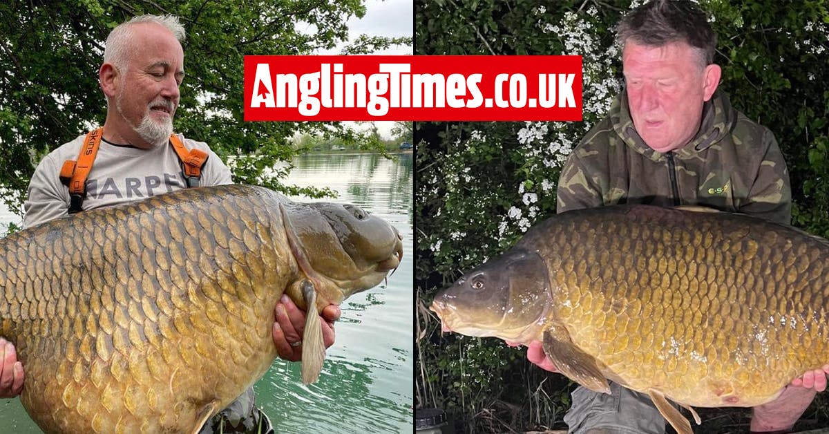 UK anglers enjoy record session at popular Italian carp venue | Angling ...
