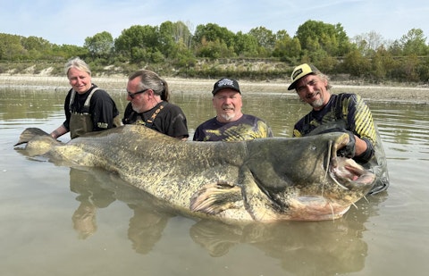 World record catfish beaten by 1cm! | Angling Times