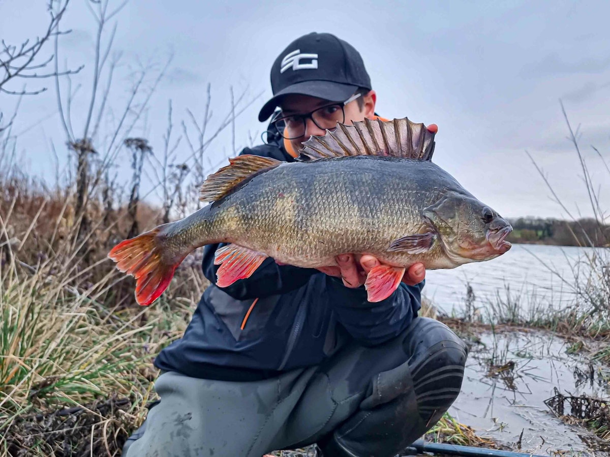 Only bite of the trip is a monster gravel pit perch | Angling Times