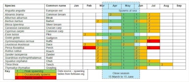 FISH SPAWNING – WHAT TO LOOK OUT FOR | Angling Times