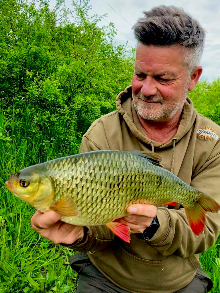 Massive Yorkshire rudd takes ‘boosted’ maggots | Angling Times