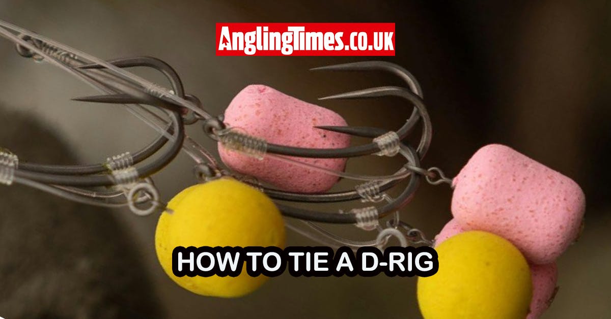 How to tie the IQ D rig | Angling Times
