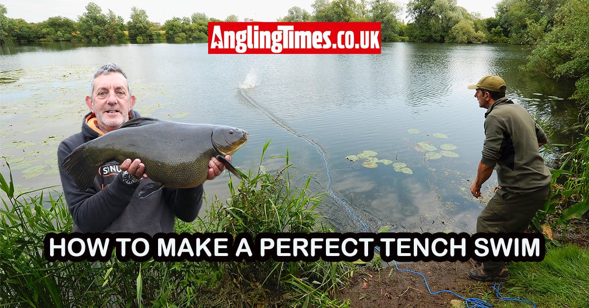 How to create a perfect swim for tench