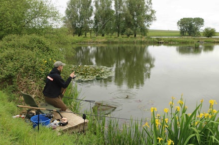 Fishing near me: Where to catch a net of tench | Angling Times
