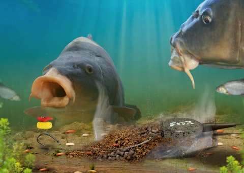 The only carp rigs you’ll ever need! | Angling Times