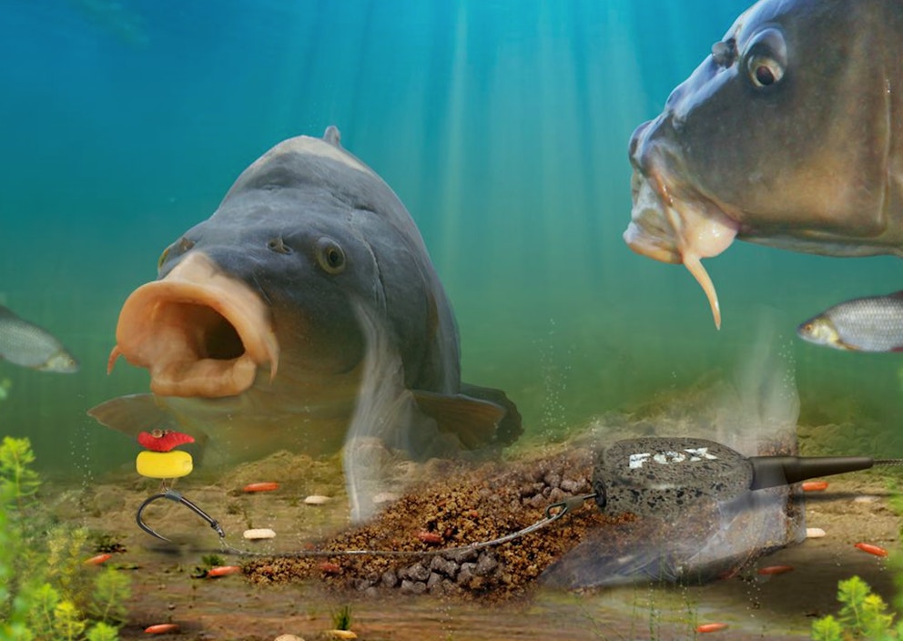 The only carp rigs you’ll ever need! | Angling Times