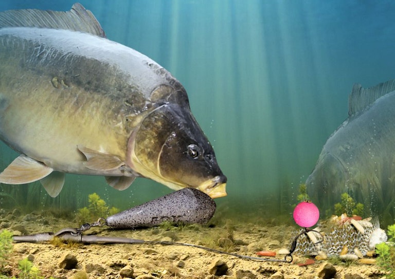 The only carp rigs you’ll ever need! | Angling Times